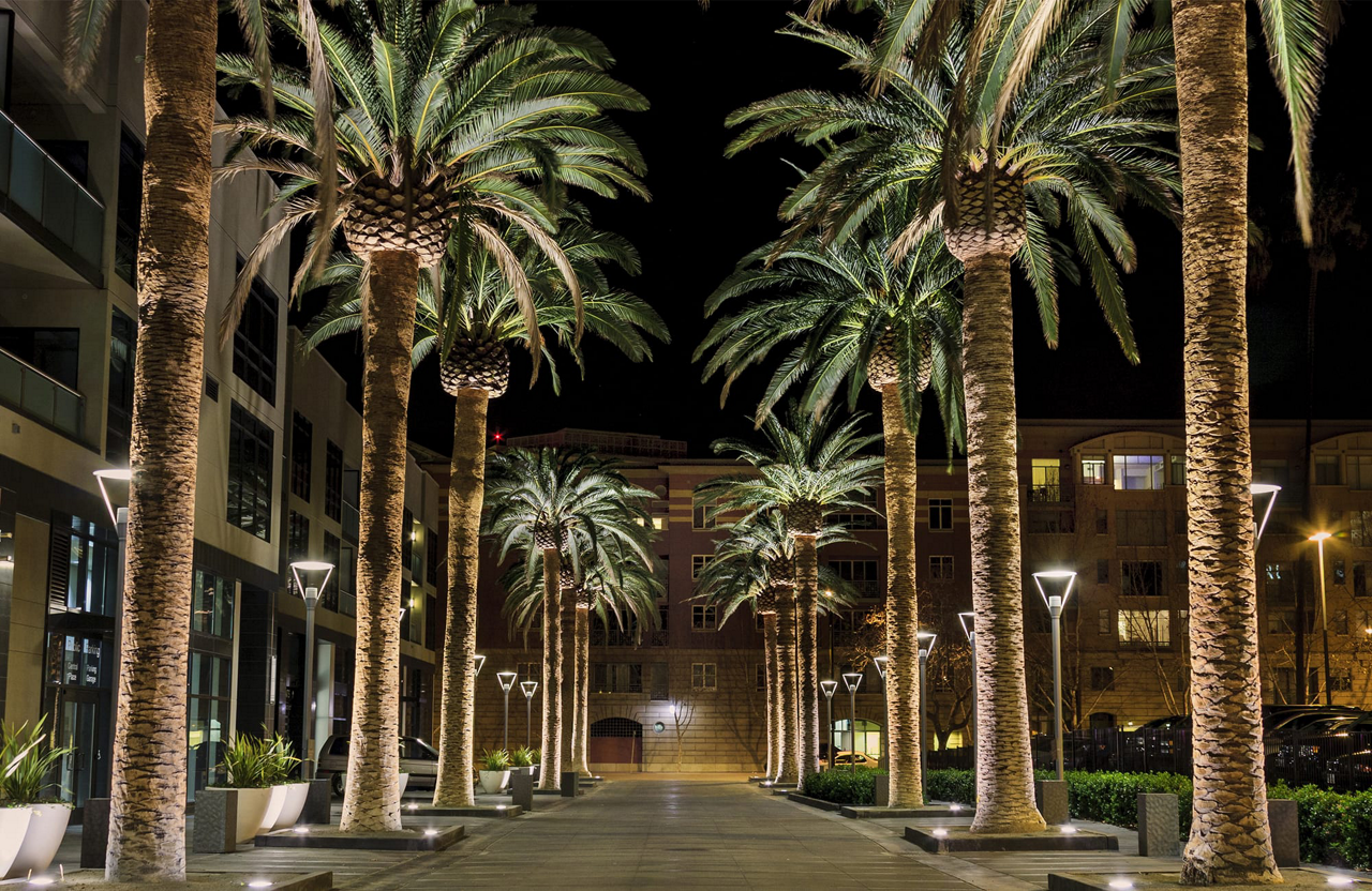 Core Tech Java Jobs in San Jose, United States | Virtusa Careers