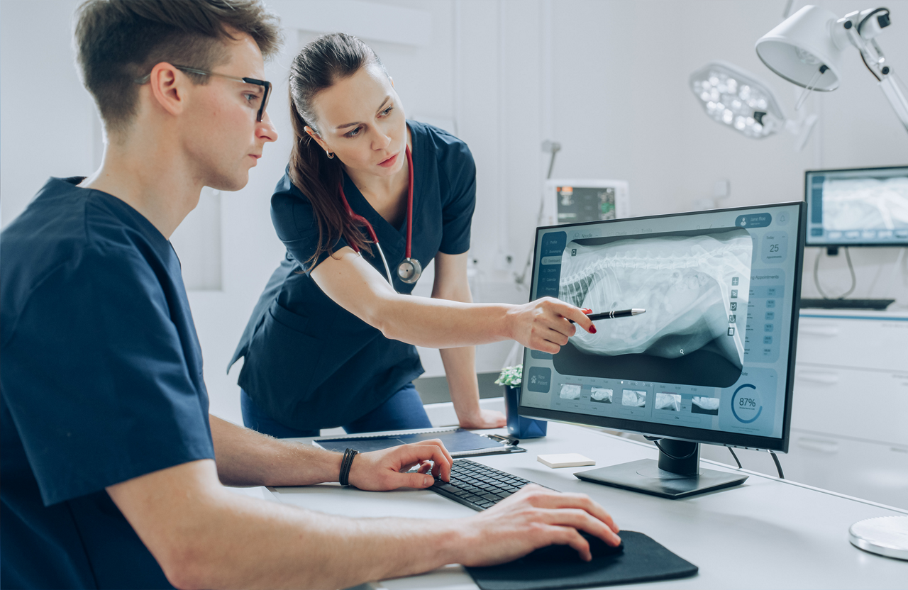 Verification & Validation solution | Virtusa
